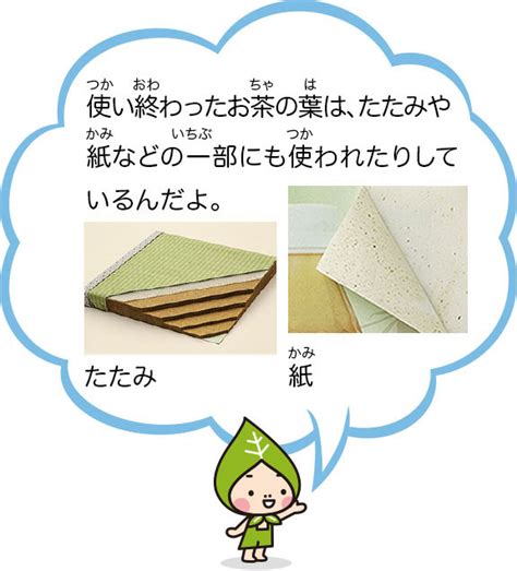 飲む以外のお茶お茶百科キッズ