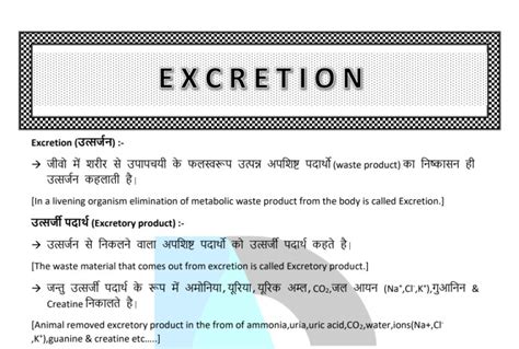 data entry ms word typing copy past work hindi typing by koushal 036