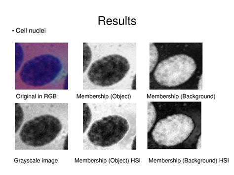 Ppt Fuzzy Sets And Fuzzy Techniques Project Fuzzy Color Image