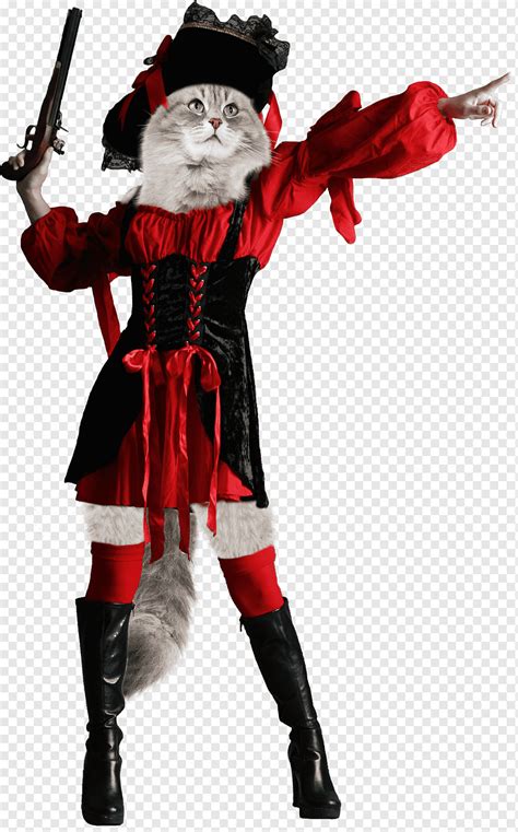 Santa Claus Christmas Ornament Costume Character Pirate Holidays