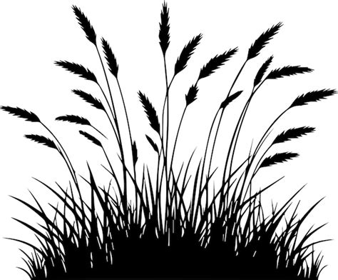 Ilustración De La Silueta Vectorial De La Hierba 3 Vector Premium