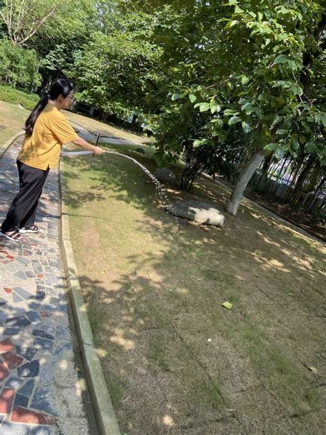 风景园林设计教研室开展南校区绿地养护管理活动