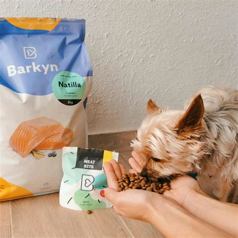 Cuánta Canela Le Puedo Poner A La Comida De Mi Perro
