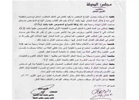أمين عام مجلس الدولة يصدر قرارا بقواعد استخراج وتسليم الصور التنفيذية