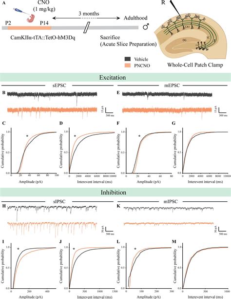 Ms Office Pro Plus Activator Mertqnevada