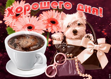 Желаю тебе прекрасного и хорошего дня Скачать бесплатно на