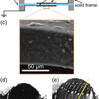 Schematic Of The Actuator Setup A Top And B Side View C Scan Download Scientific