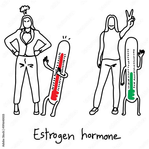 Metaphor Estrogen Hormone Affects The Mood Swings Of Women Vector