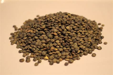 French Lentils Puygreen Organic 14pkg The Seedy Sister