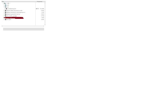 CCS CC SF LAUNCHXL SSL Connection Used Wrong CA To Verify The Peer SOCK EVENT Wi Fi
