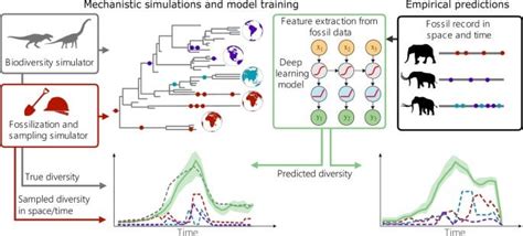 Deepdive Estimating Global Biodiversity Patterns Through Time Using Deep Learning R Ecotech