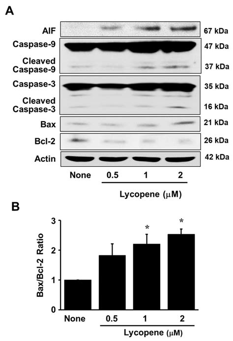 Lycopene Increases Apoptotic Indices Apoptosis Inducing Factor Aif