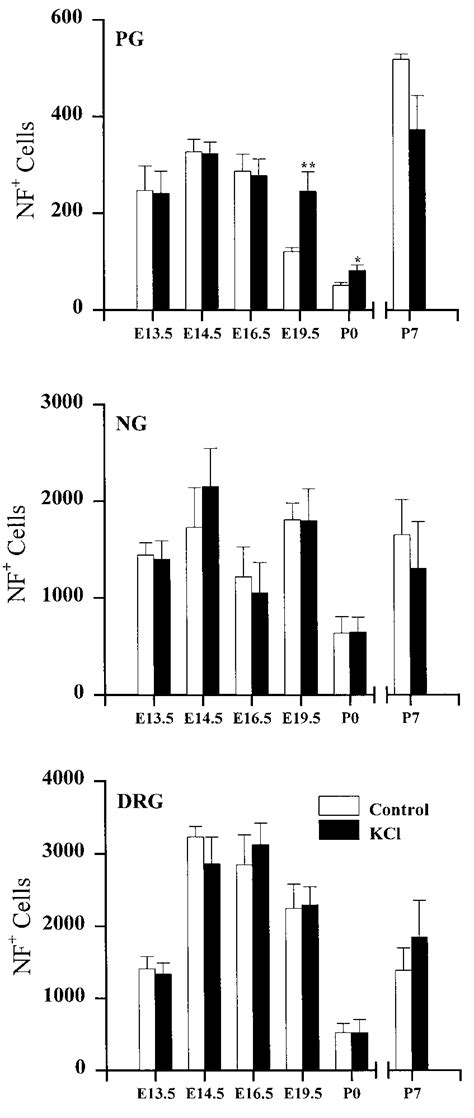 Neuron Survival In Pg Ng And Drg Cultures Were Grown For 3 D In The