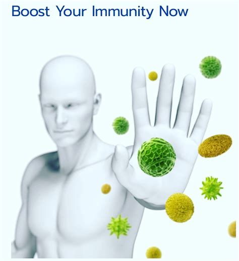 🦠 Lymphatic System 🦠 A Peak Body Design Studio