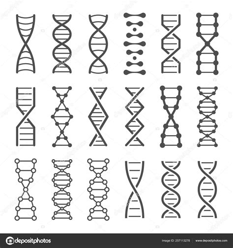 Icono espiral de ADN Genética humana código modelo de genoma y bio