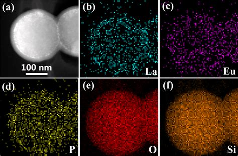 EDX Mapping Images Of SiO2 LaPO4 Eu SiO2 A STEM Images Bf The Download Scientific