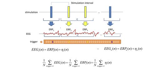 Github Hbumjj Ecog Processing Ecog Stimulation Trigger Processing Using Synchronizing Averaging