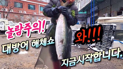 👉대방어의 계절이 돌아왔다 바로잡아 포장해주는 과정과 시세 맛리뷰까지~생생정보 Youtube