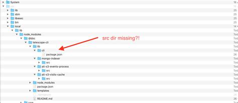 Bug Not All Files In Being Included When Using `npm Publish` Despite
