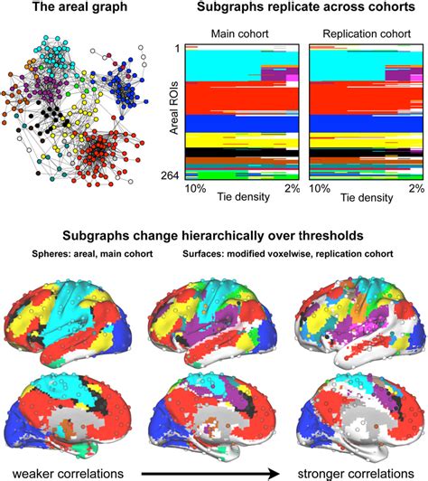 Pdf Functional Network Organization Of The Human Brain Semantic Scholar