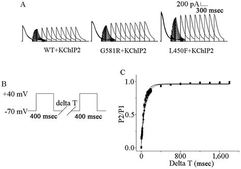 International Journal Of Molecular Medicine
