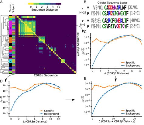 patterns of sequence similarity within an epitope specific repertoire