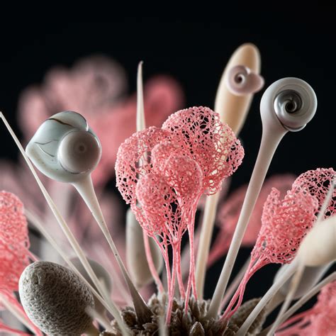 Qualitative Indicators → Term