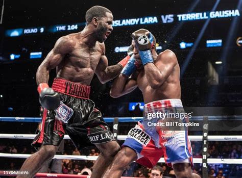 Lara Boxer Photos And Premium High Res Pictures Getty Images