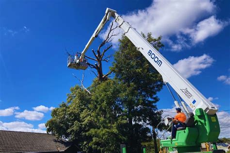 Tree Pruning Adelaide Crown Tree Stump Removal