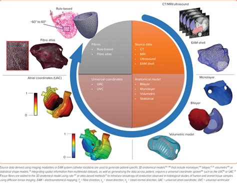 Figure 1 From A Review Of Personalised Cardiac Computational Modelling