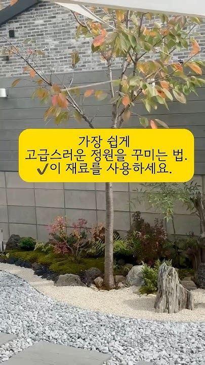 가장 쉽게 고급스러운 정원을 꾸미는 방법 단독주택 정원 일본식정원 Youtube
