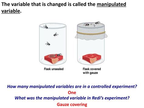 PPT The Scientific Method Asking A Question Doing Background