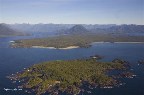 Top 10 Things To Do In Tofino Bc Surfing And More