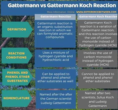 Diferencia Entre Gattermann Y Gattermann Koch Reacción Prodiffs