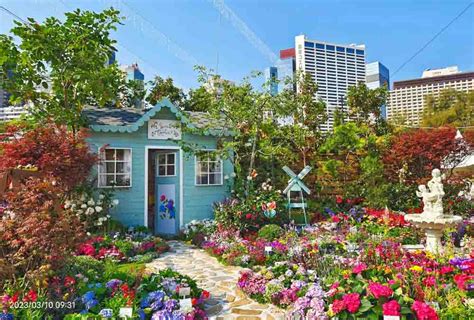 【花展2023】維園香港花卉展覽3月10 19日回歸，繡球花主題！一連10日舉行！ 放假去邊 Openholidays