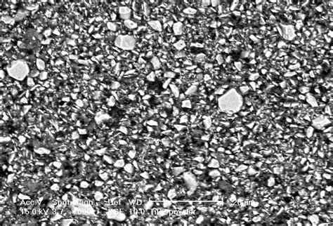 Sem Micrographs Of Tib 2 Powders Grade F H C Starck A Batch Nº
