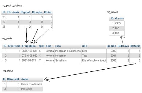 Mysql Join 4 Different Tables Stack Overflow