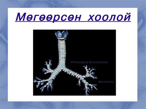 мөгөөрсөн хоолой Pdf