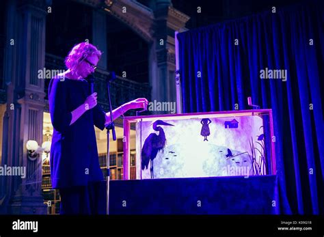 Front Row View Of The Shadow Puppet Show And The Narrator 2015 Front Row View Of The Shadow Puppet Show And The Narrator 2015