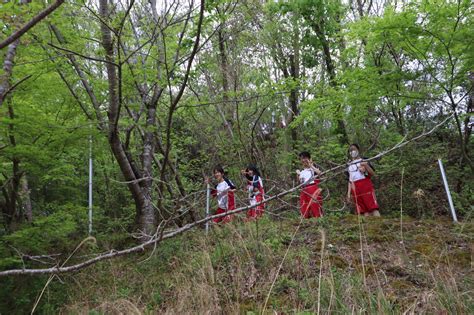 2024年度 中学1年生 新入生研修会 【新着情報】和歌山信愛 中学校 高等学校