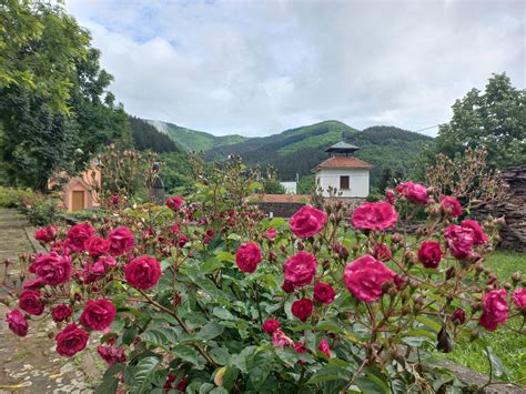 Днес в ОУ Петър ОУ Петър Парчевич гр Чипровци Facebook