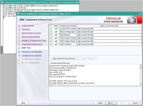 Oracle Enterprise Data Quality Edq Devops And Databases
