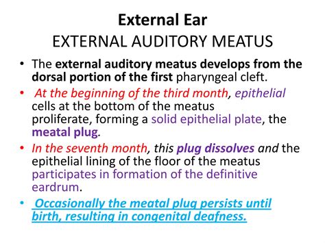 Embryology 18 Ear Pptx Ear Nose And Throat Conditions Diseases