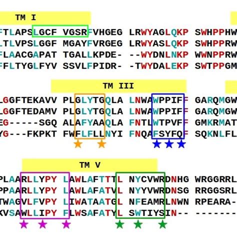 Multiple Sequence Alignment Of Tspo From Different Organisms Human Download Scientific Diagram