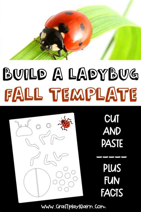Easy Cut Out Lady Bug Template Printable Craft Play Learn Template