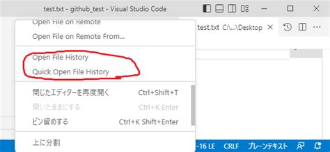 open file history appears even if the file does not belong to a