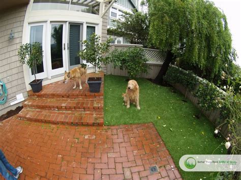 Artificial Grass Dog Run Installation Projetcs In California