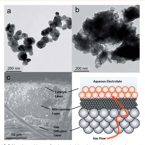 Figure 2 From Electrochemically Driven Cn Bond Formation From Co2 And Ammonia At The Triple