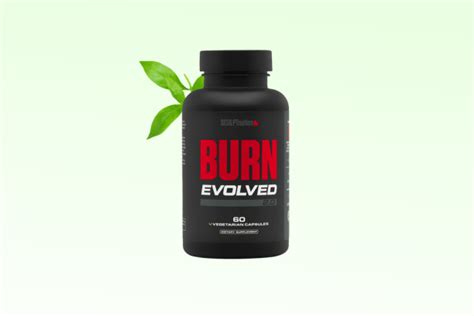 Burn Evolved Reviews Results Side Effects And Warnings Sustainable