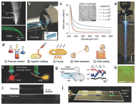 Hydrogel‐based Optical Waveguides A Agarose‐gel Waveguides Containing